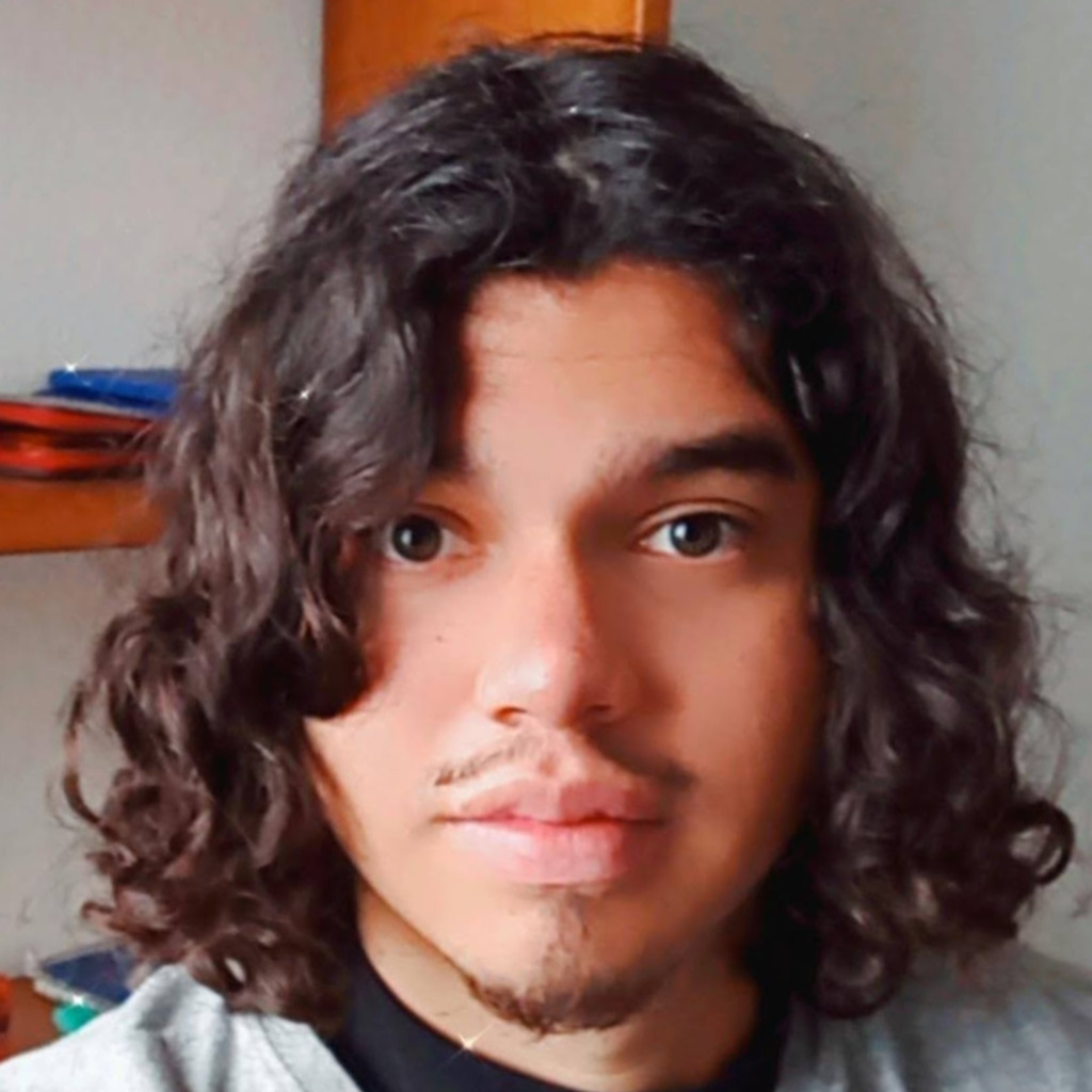 Luis Roa - Software Developer - Hiberus | XING