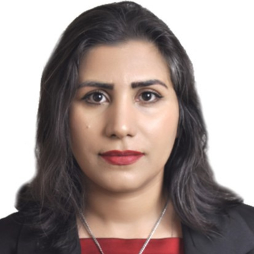 Samane Najarian - Data Analyst - dept of justice | XING