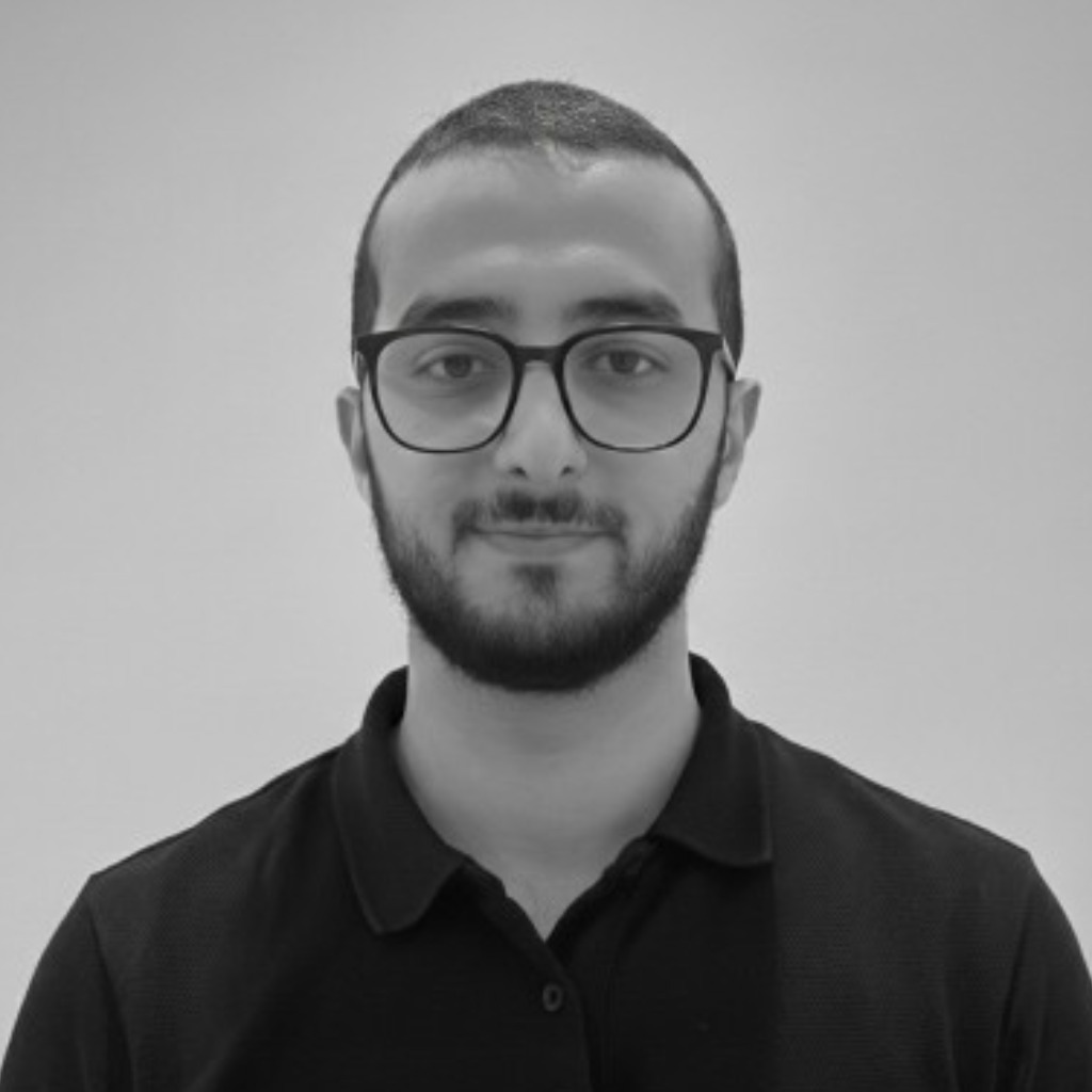 Mohab Elsheikh - Software Engineer - LimeSurvey GmbH | XING