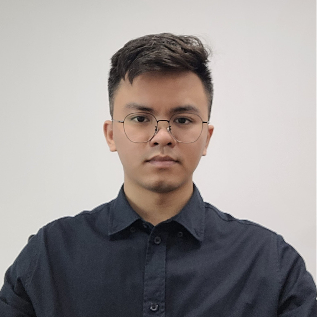 Duc Dung Do - Java Developer - HCL Technologies Limited | XING