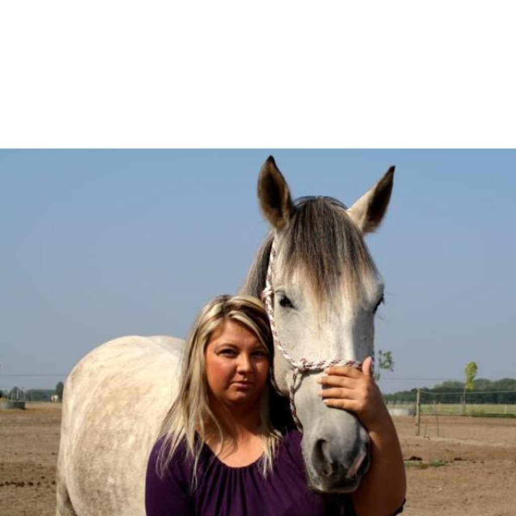 Bianca Schulz - Pferdetrainer - harmonisches Pferdetraining | XING