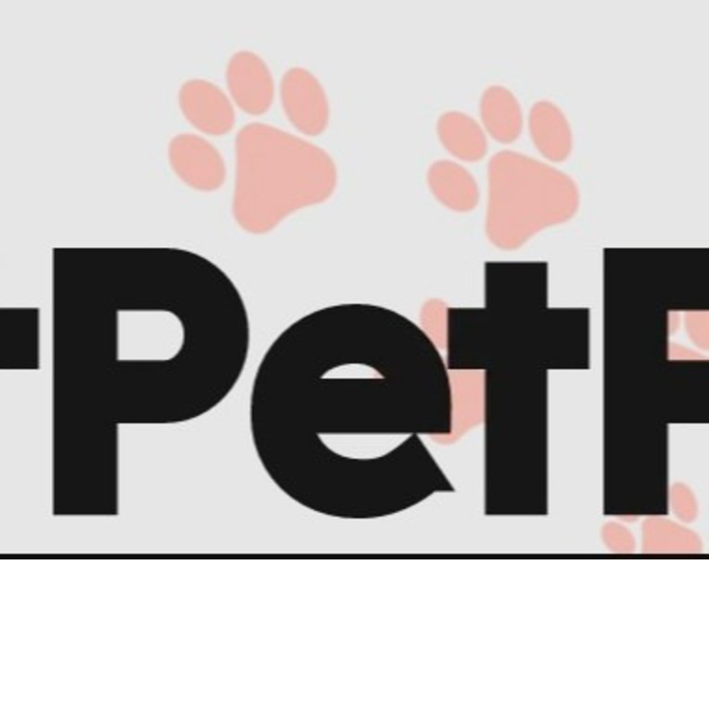 Angelino julley - Seoer - wewew | XING