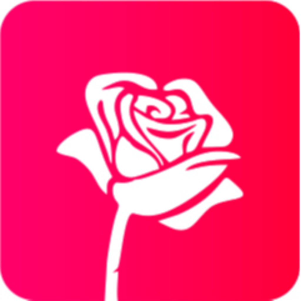 Arya Rostami - Designer - Rosedesign | XING