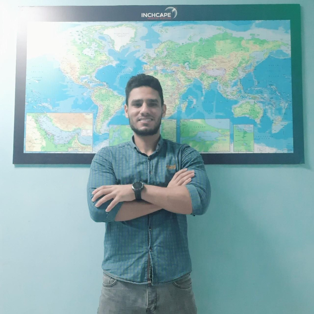 Mohamed M.Hammad - Operations Executive - Inchcape Shipping Services | XING