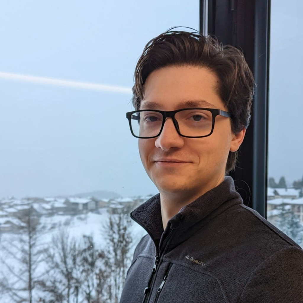 Rares Stan - Software Developer - Diomedes-technologies | XING