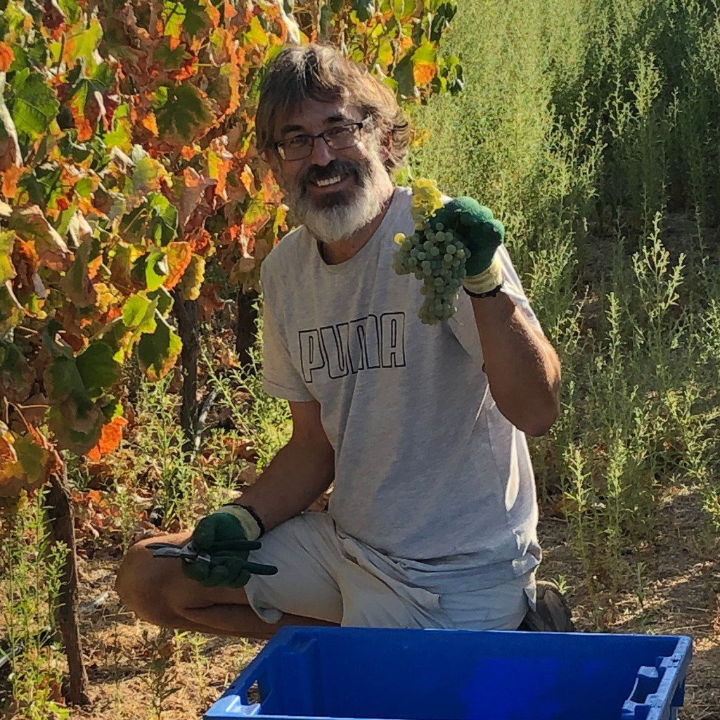 Markus Baumann - Wein- und Olivenbauer / Eseltreiber - bb-villa | XING
