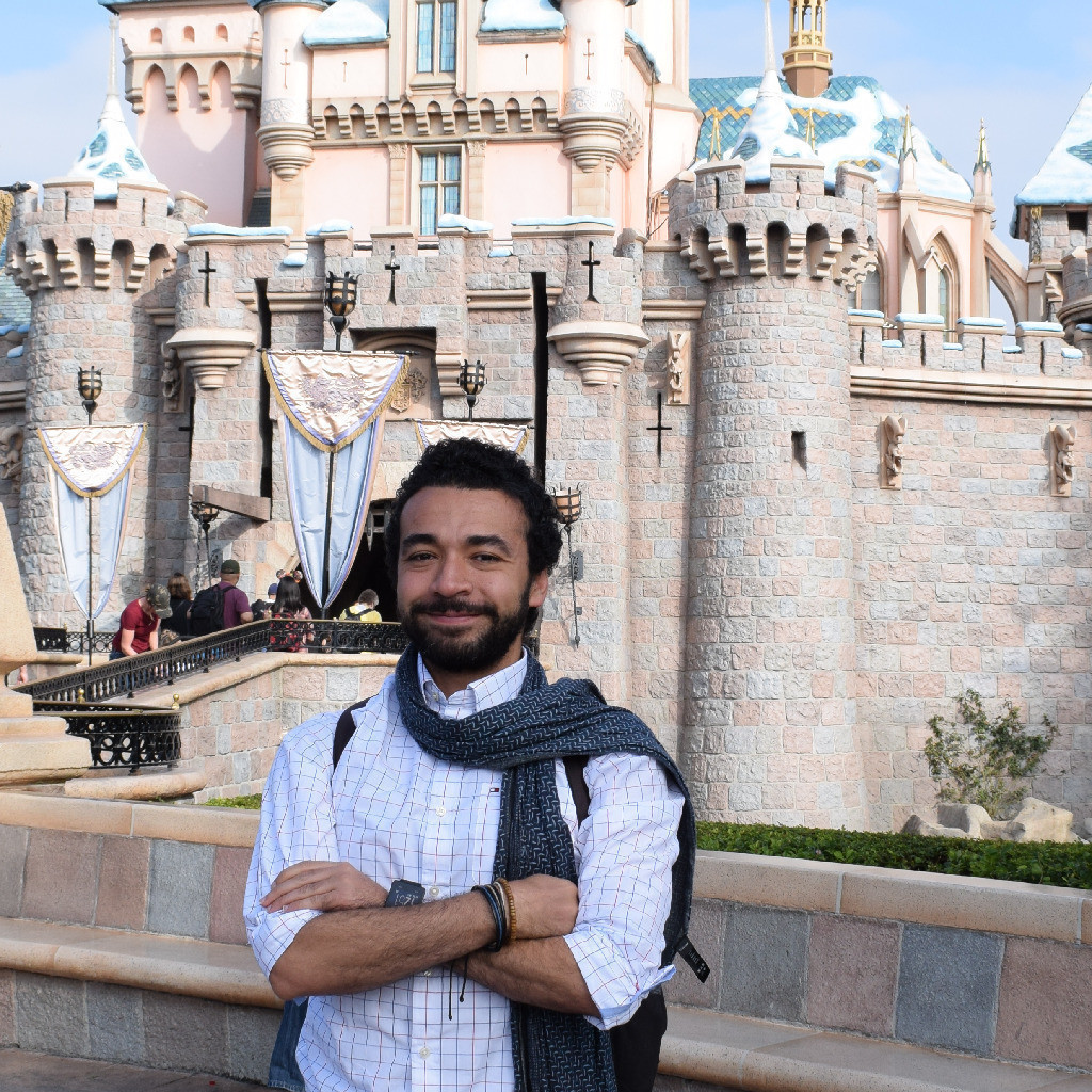 Mohamed Ismail Software Engineer Adesso Se Xing