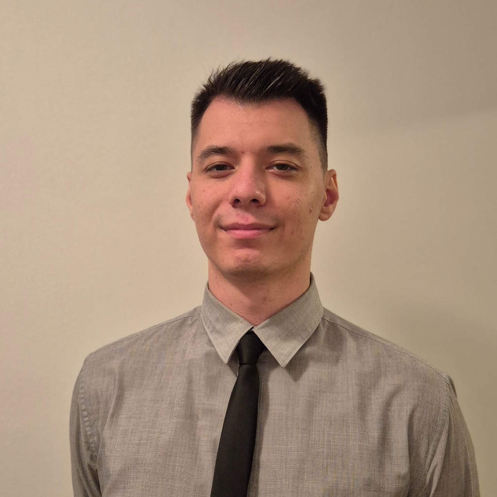 Teodor-Cătălin Dobrea - Web Developer - Vision Technology Development | XING