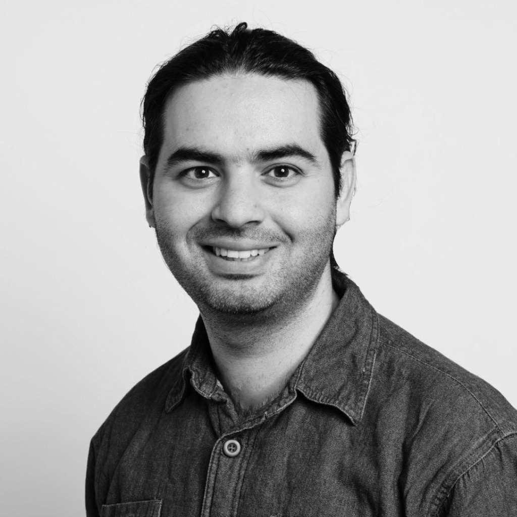 Mehran Shahzadeh - Wissenschaftlicher Mitarbeiter - Friedrich-Alexander ...