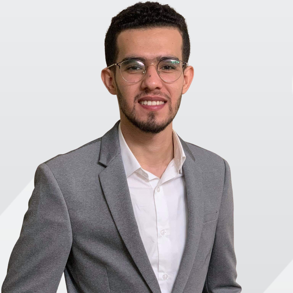 Abdelrahman Ahmed - PhD Candidate - FAU Erlangen Nürnberg | XING