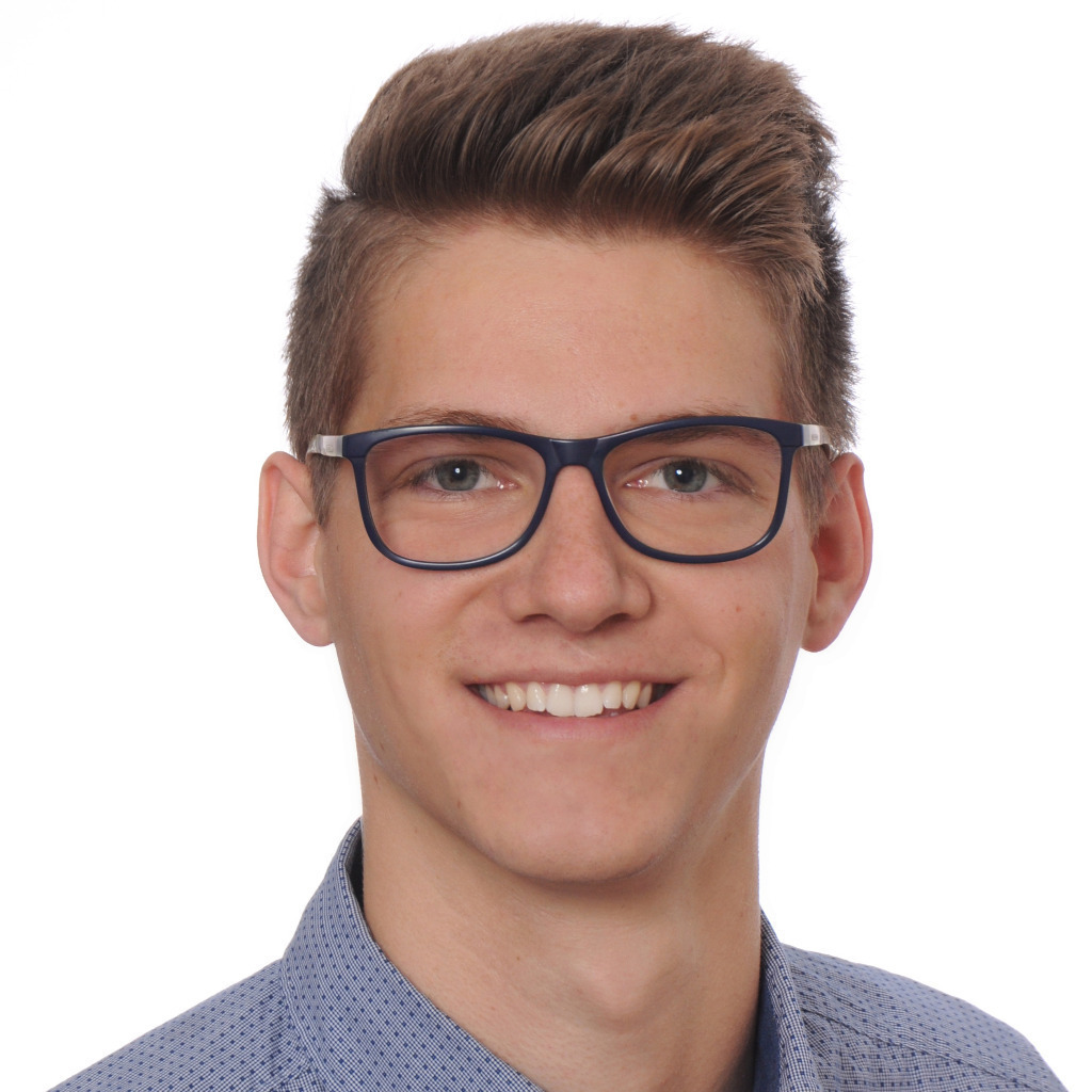 Daniel Leber - Testing-/Tuning-Engineer - ZF Group | XING