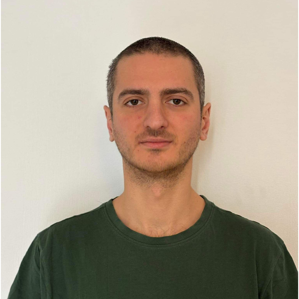 Giorgi Ujmajuridze - Commercial Director - Dopamine LTD | XING