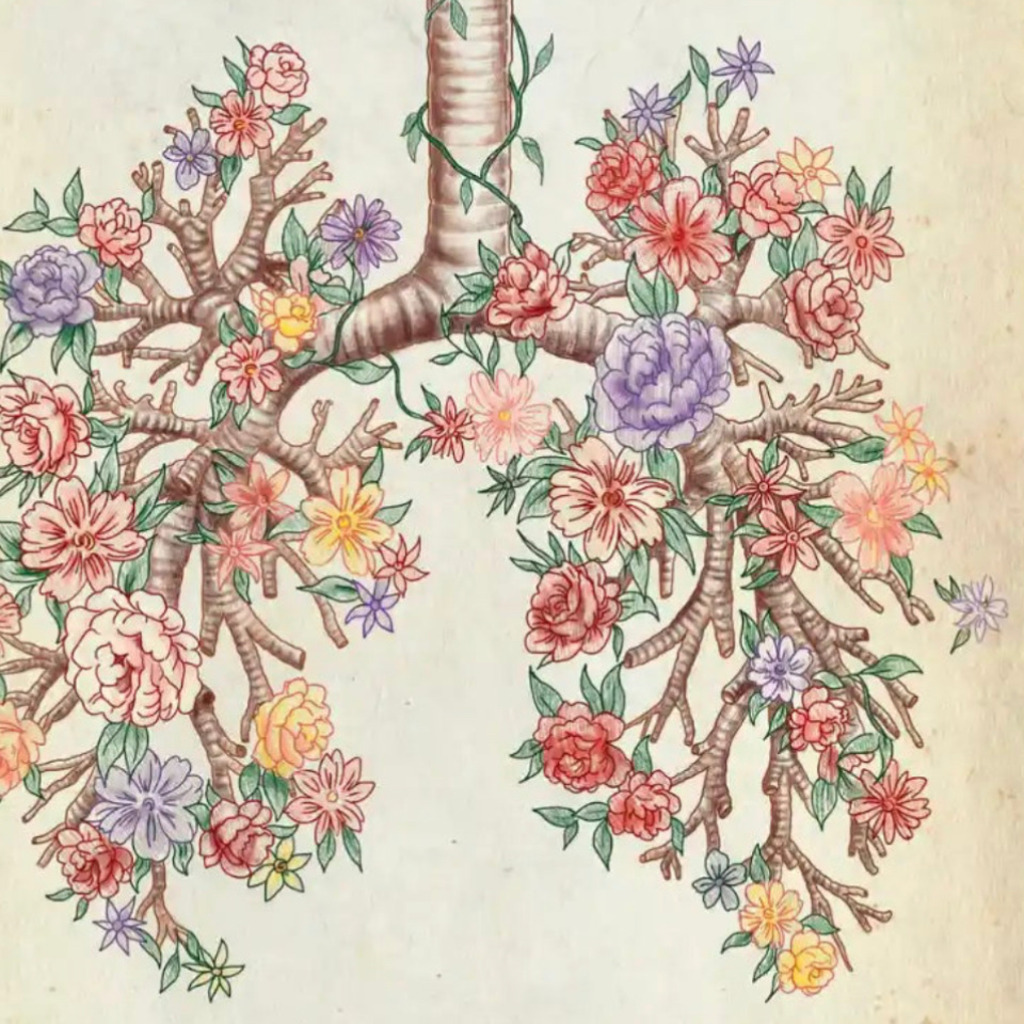 Bianca Brandes - Pharma-Außendienstmitarbeiterin - GSK, Novartis ...