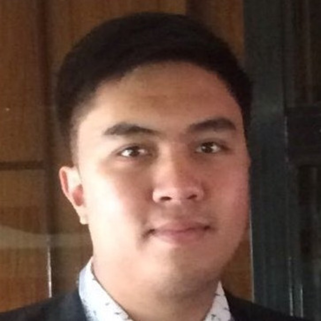 Arc Angelo Ibalio - Fullstack/ Blockchain Developer - Accenture | XING