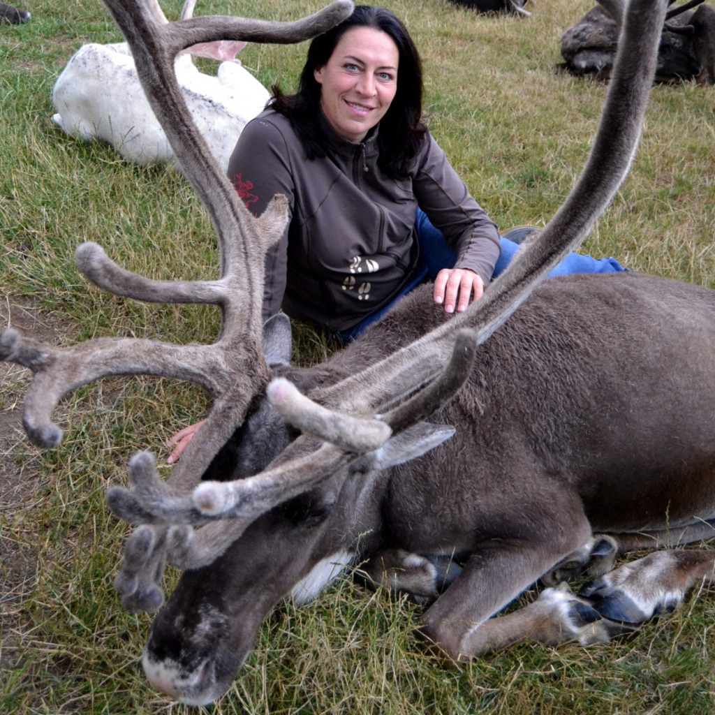 Rentier-Alm Sonja Persch-Jost - Leitung Rentieralm - Rentieralm | XING