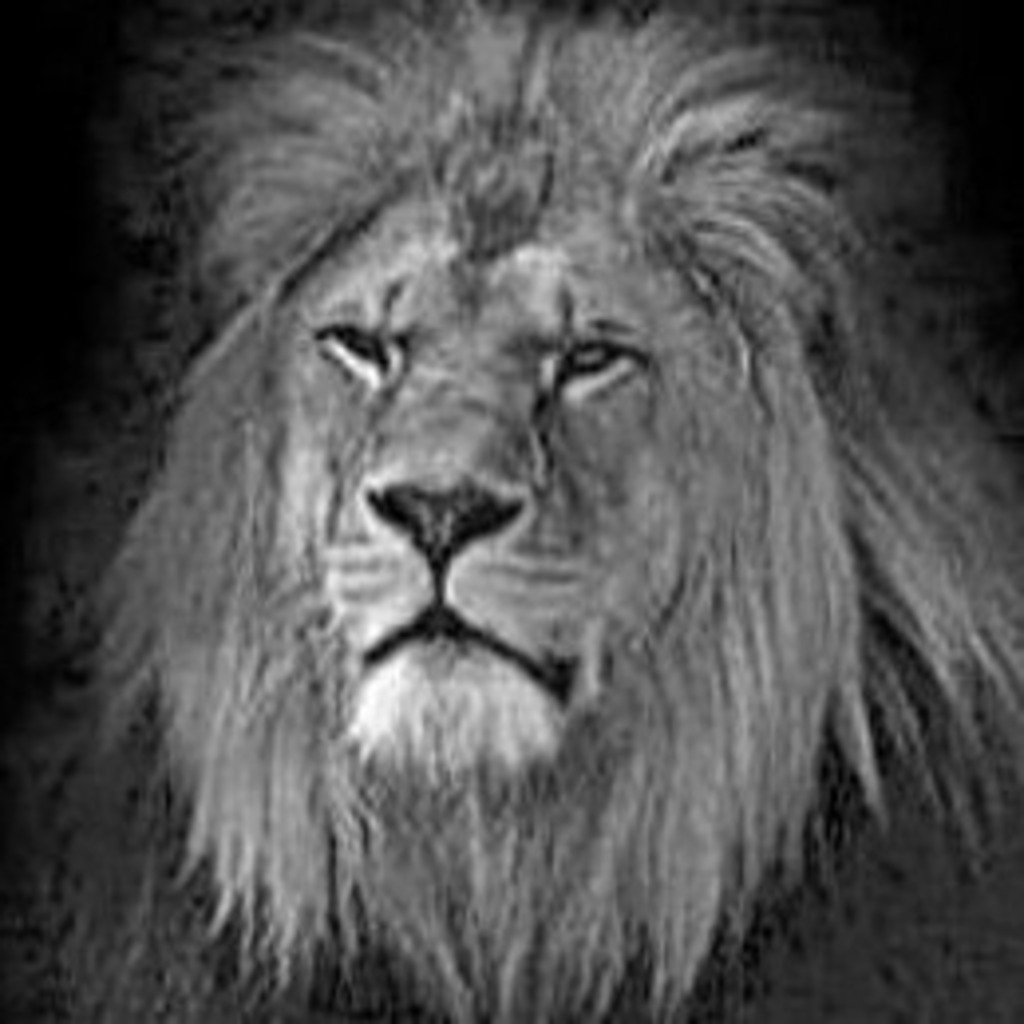 Peter Hofinger - Leiter - selbst-ständig | XING