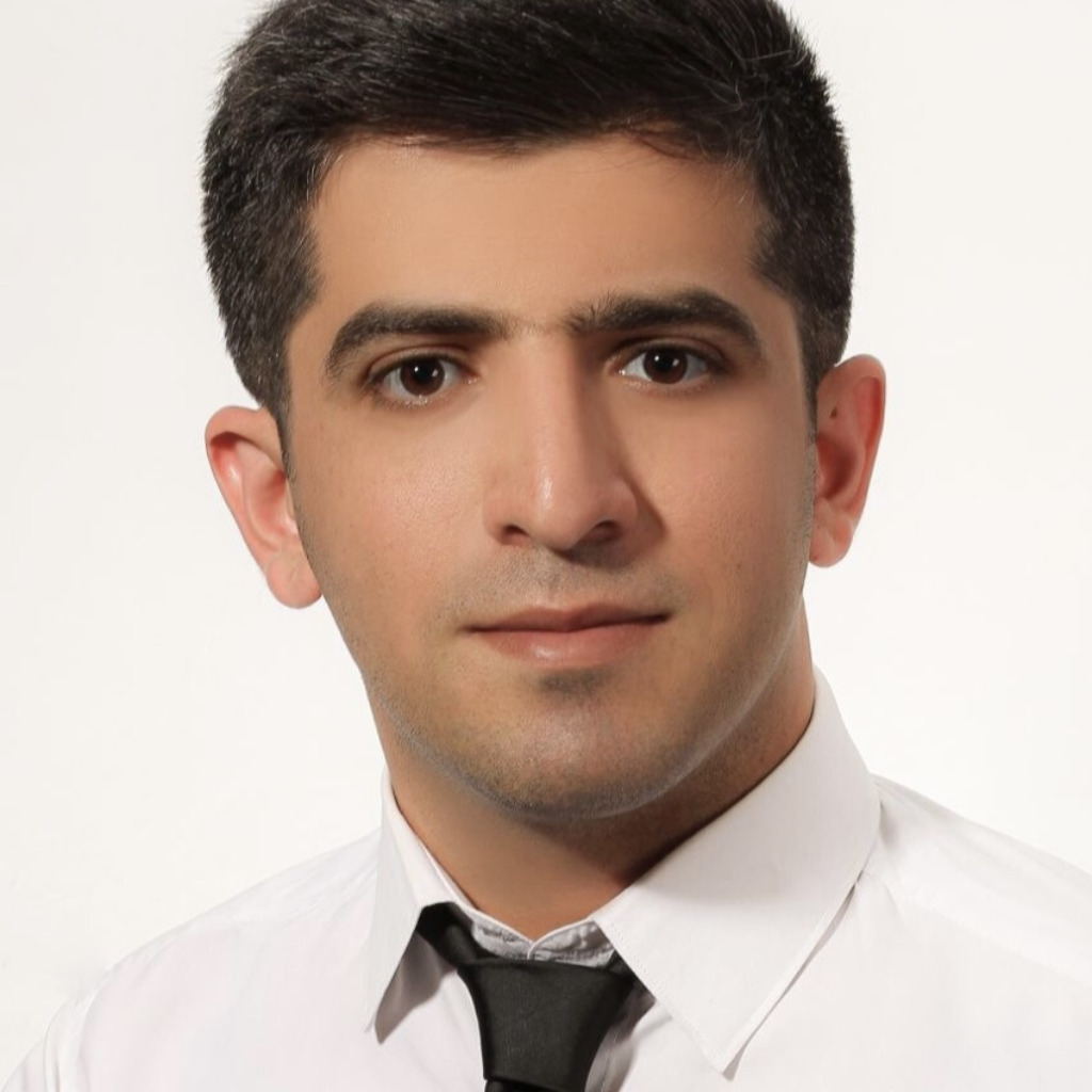 Ali Cheloee Darabi - Simulation Engineer - Springer GmbH | XING
