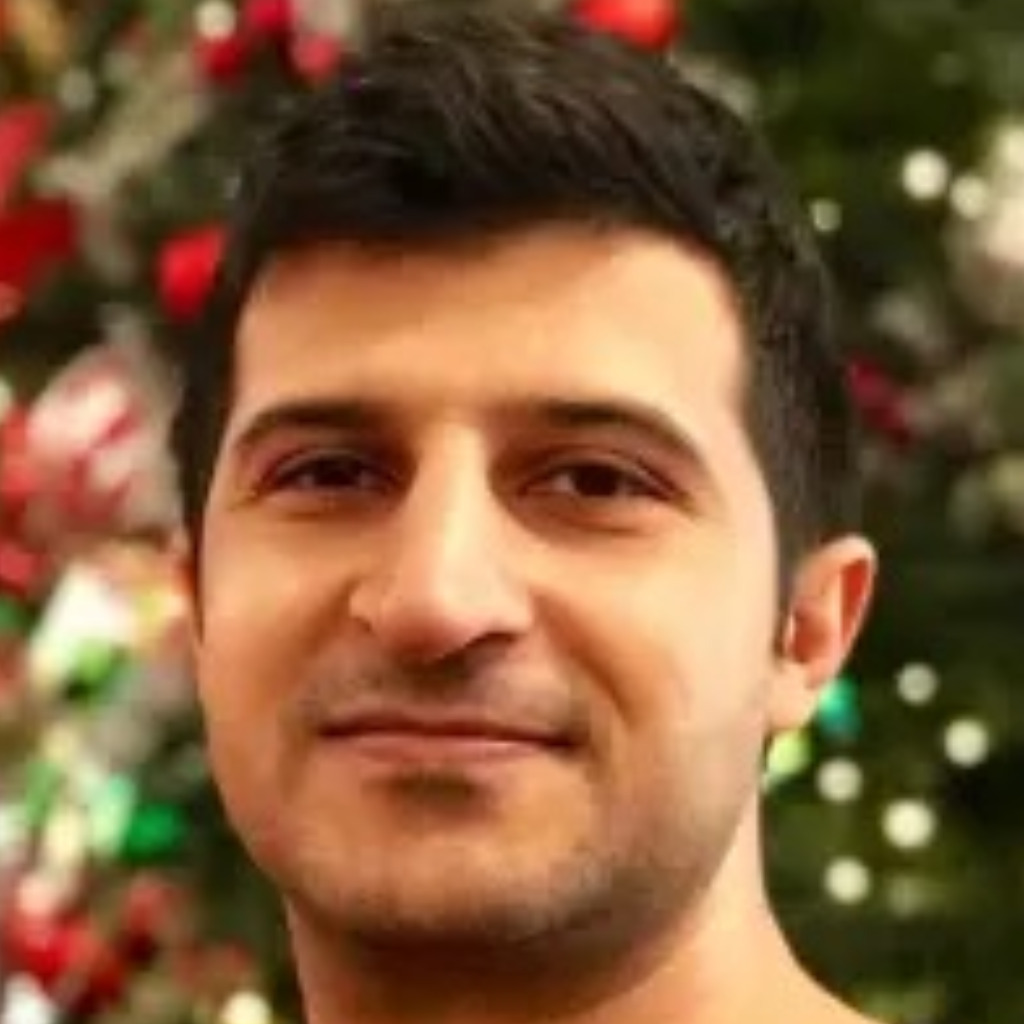 Mohammad Hossein Amri - Solution Architect/ technical lead - Axceligent | XING