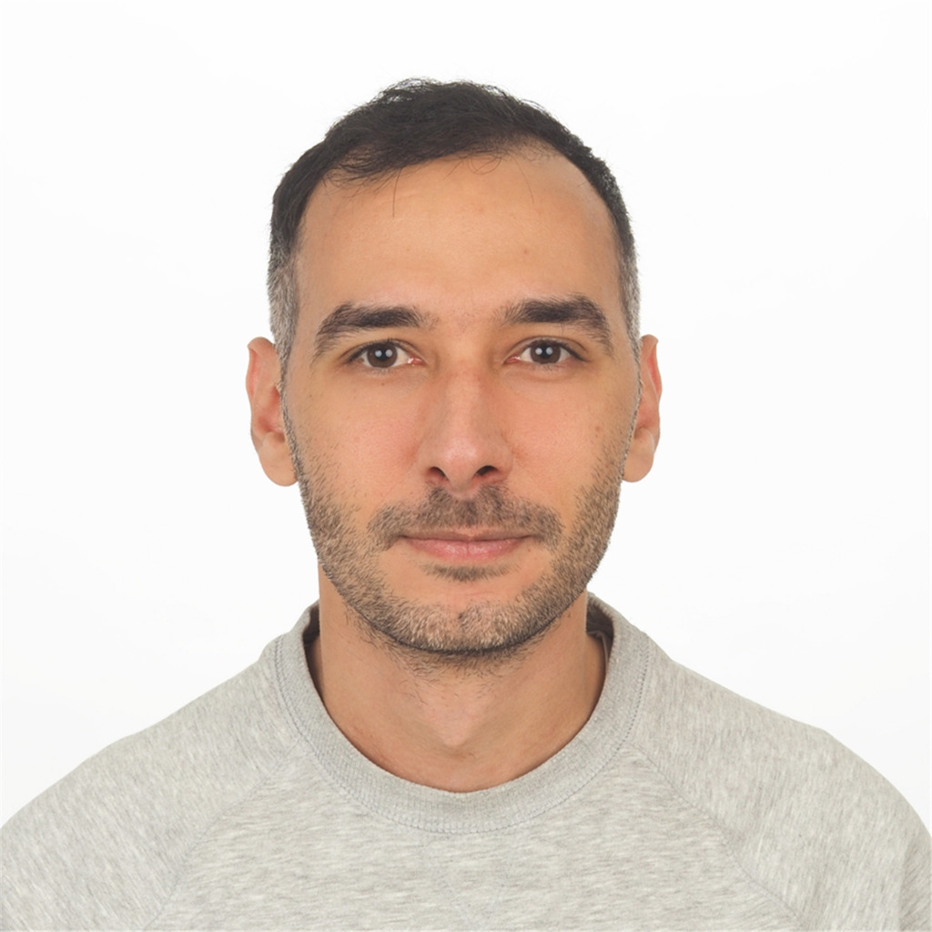 Moataz Abdelaal - Research Scientist - Universität Stuttgart | XING