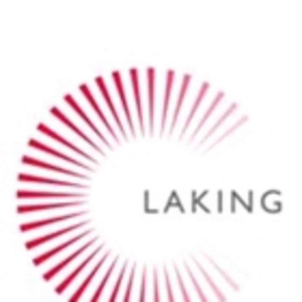 James Payne - Principle Consultant - Laking Aran Moorhouse | XING