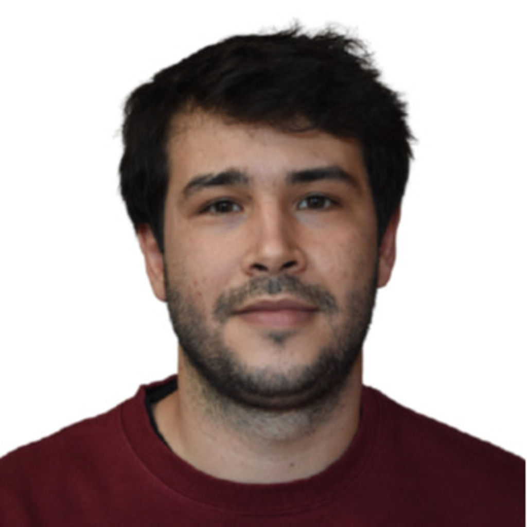 Luis Matias - Research Fellow - INEGI | XING