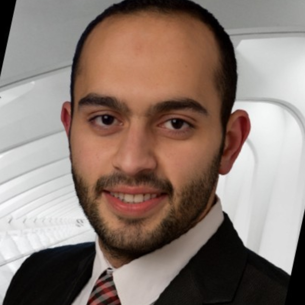Ahmed Ibrahim - Controller - Pfeifer Group | XING