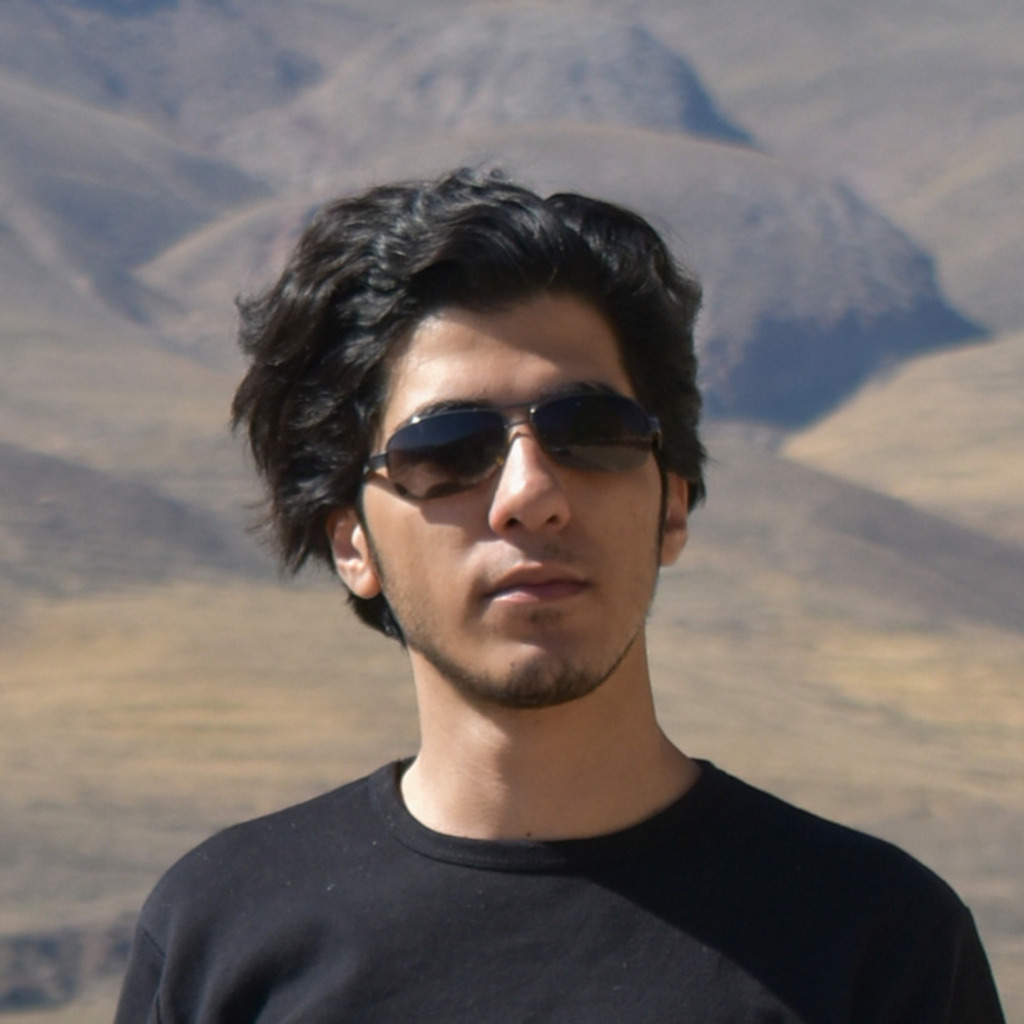 Vahid Bashiri - Game Developer - Funtory | XING