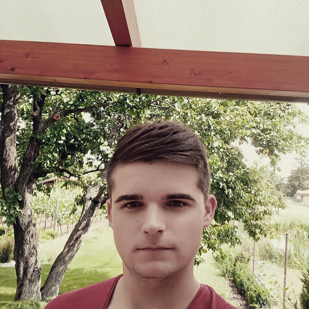 Richard Filák - Software Developer - Robert Bosch GmbH | XING