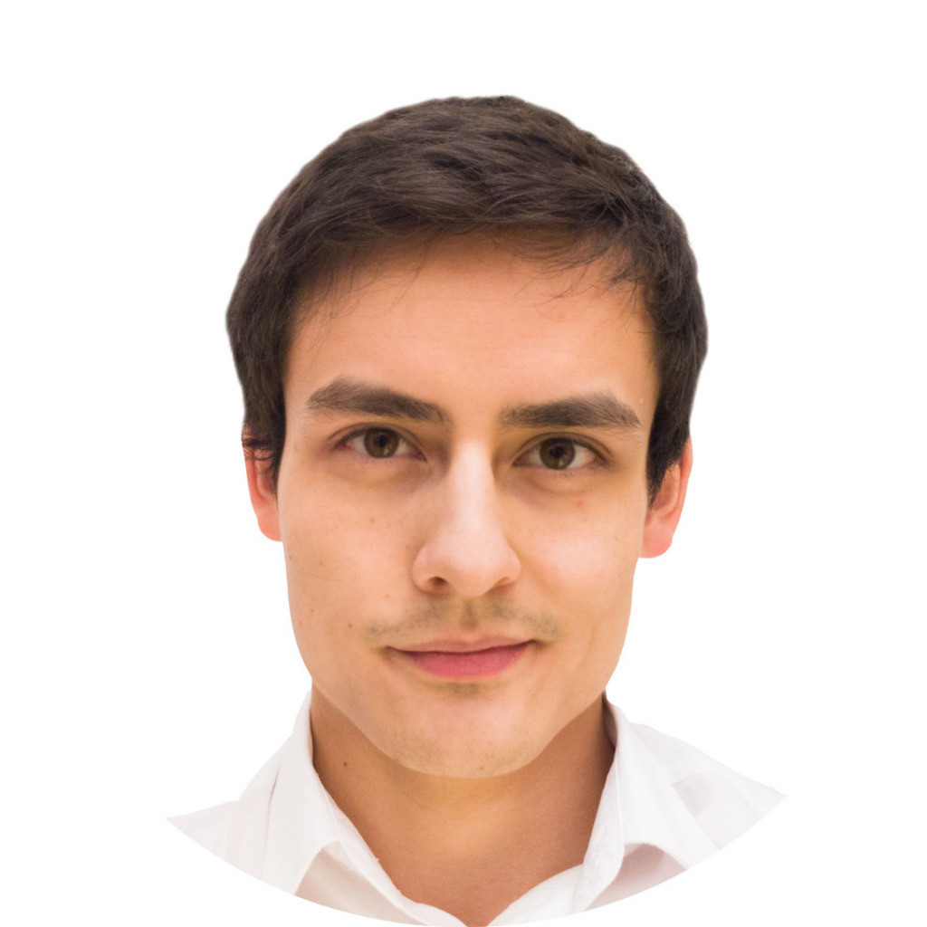 Dr. Oliver Eidel - Project Management, Regulatory Affairs - Merantix | XING