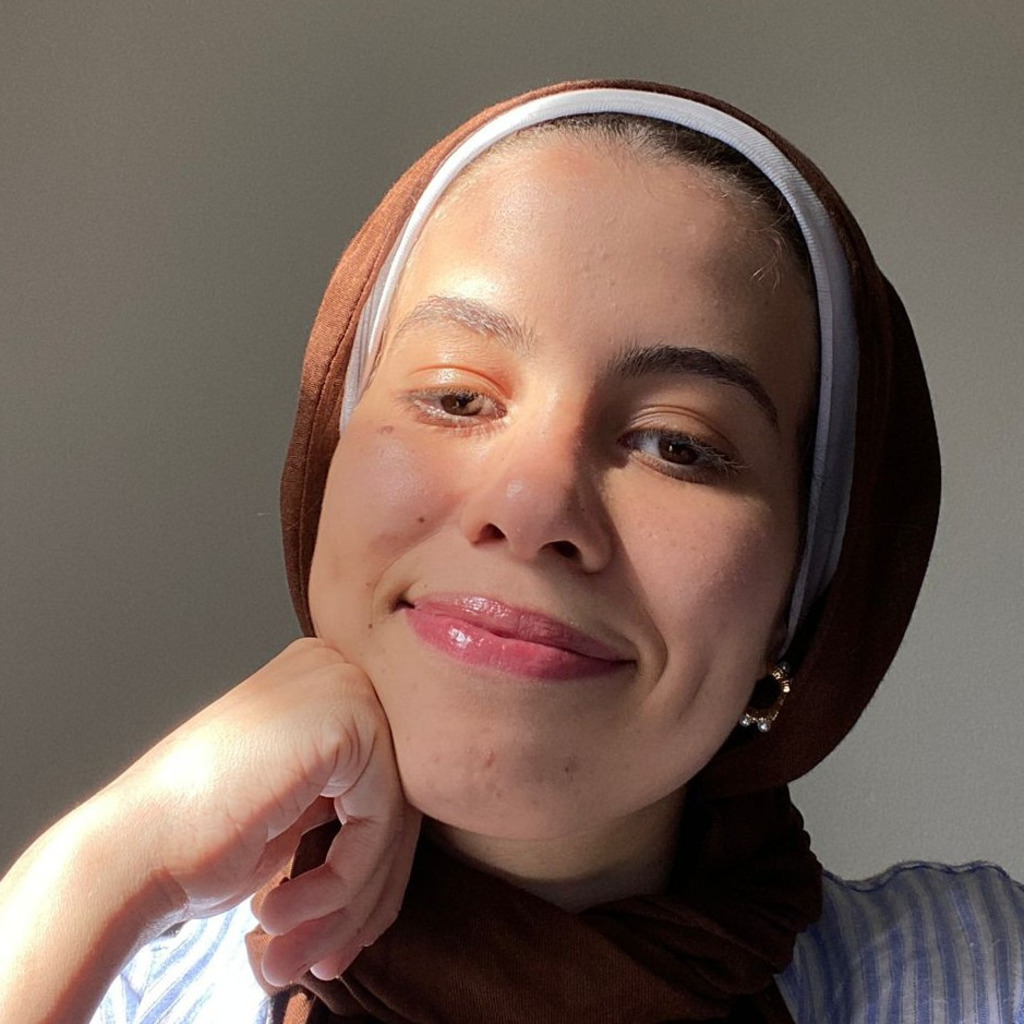 Nada Tarek - Software Engineer .NET - SilverKey Technologies | XING