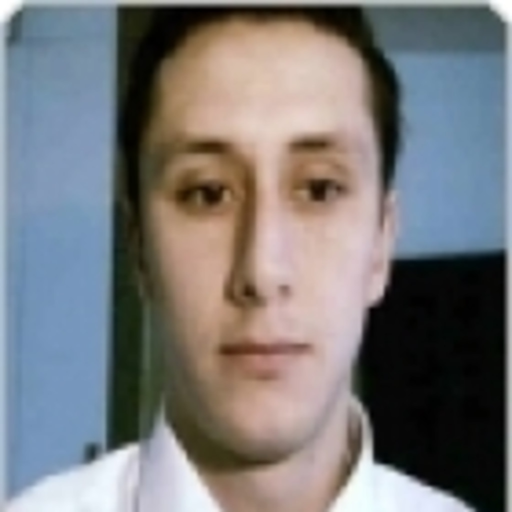 Andres Felipe Garavito - Asistente Direccion comercial Europea - DELPHI ...