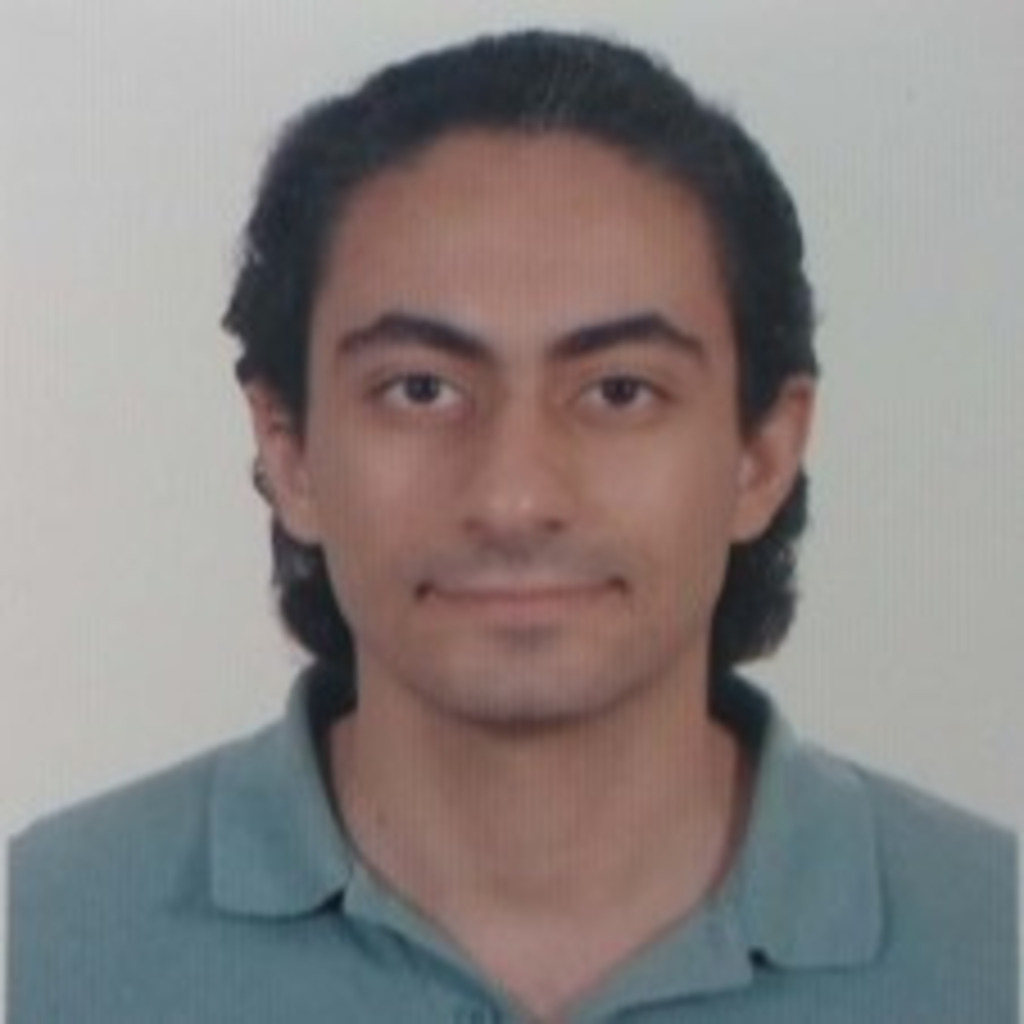 Mostafa Kotkat - Working Student - Fraunhofer IISB | XING