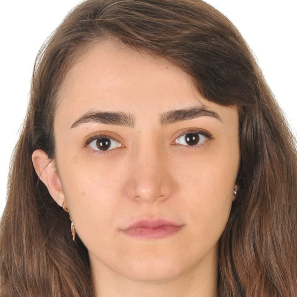 shakila Enbesati - Software Testing Engineer - Vodafone GmbH | XING