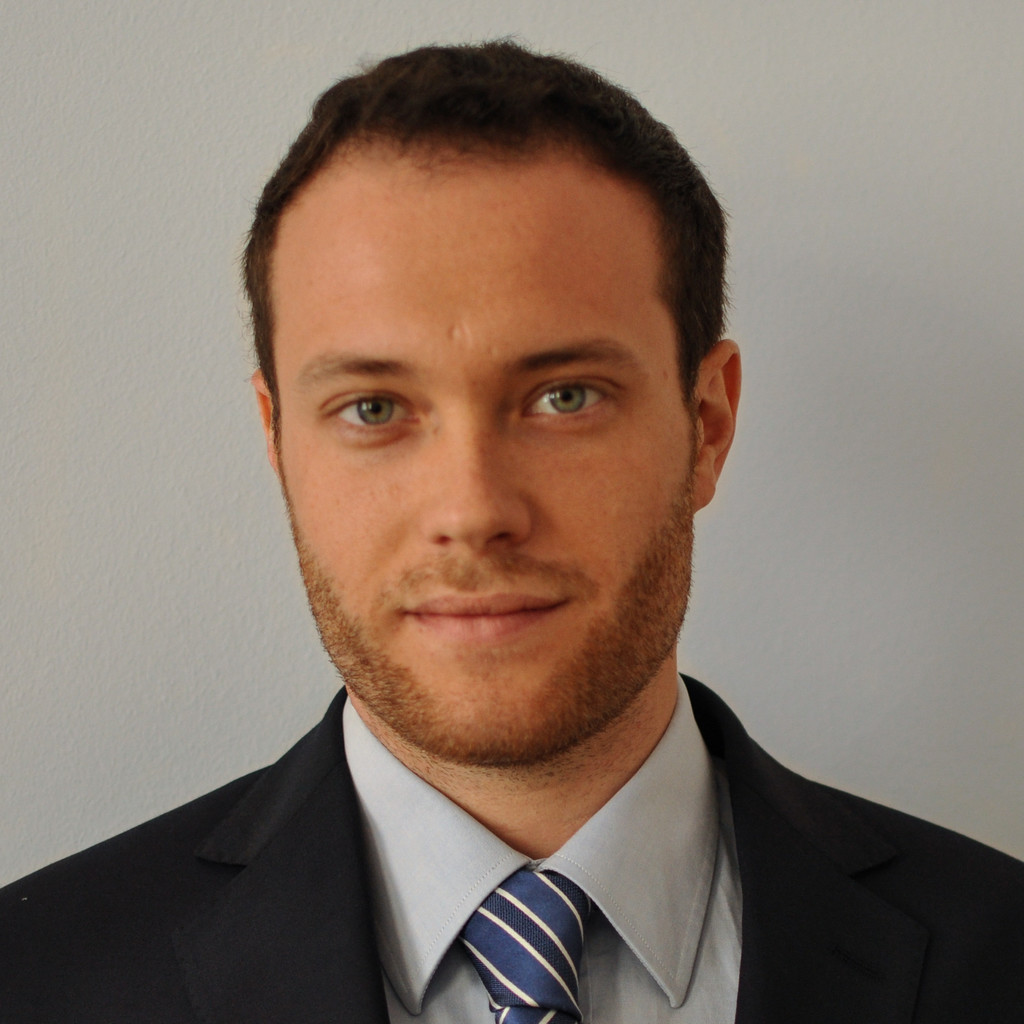 Daniele Dotti - Project Chief Engineer - Alstom | XING