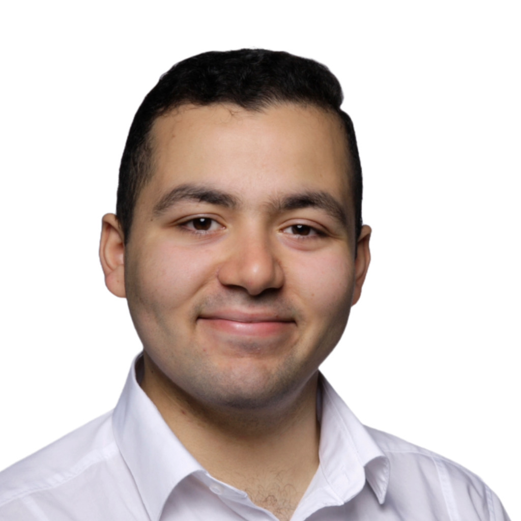 Nassim Al Hamwi - Battery Module & Cell Projects - Volkswagen AG | XING