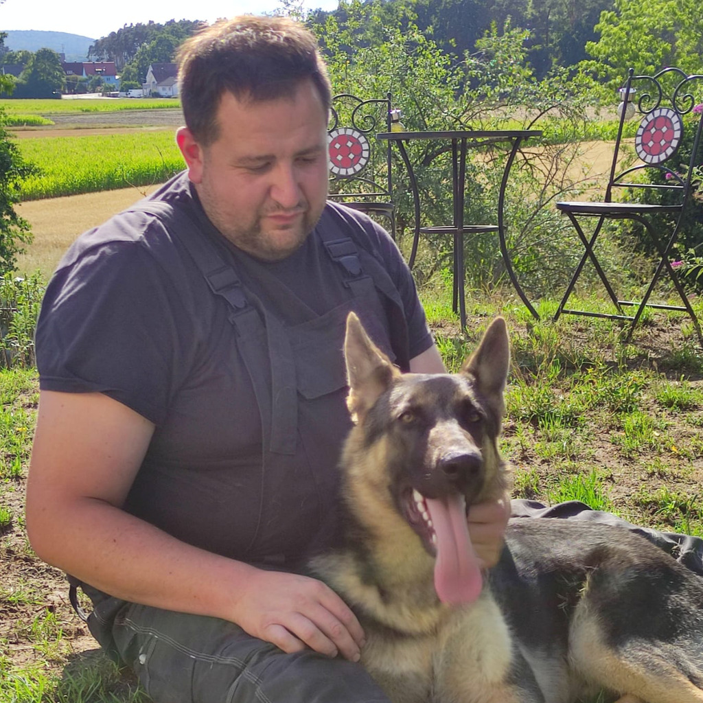 Daniel Rekus - Angestellter - Stöcklein | XING