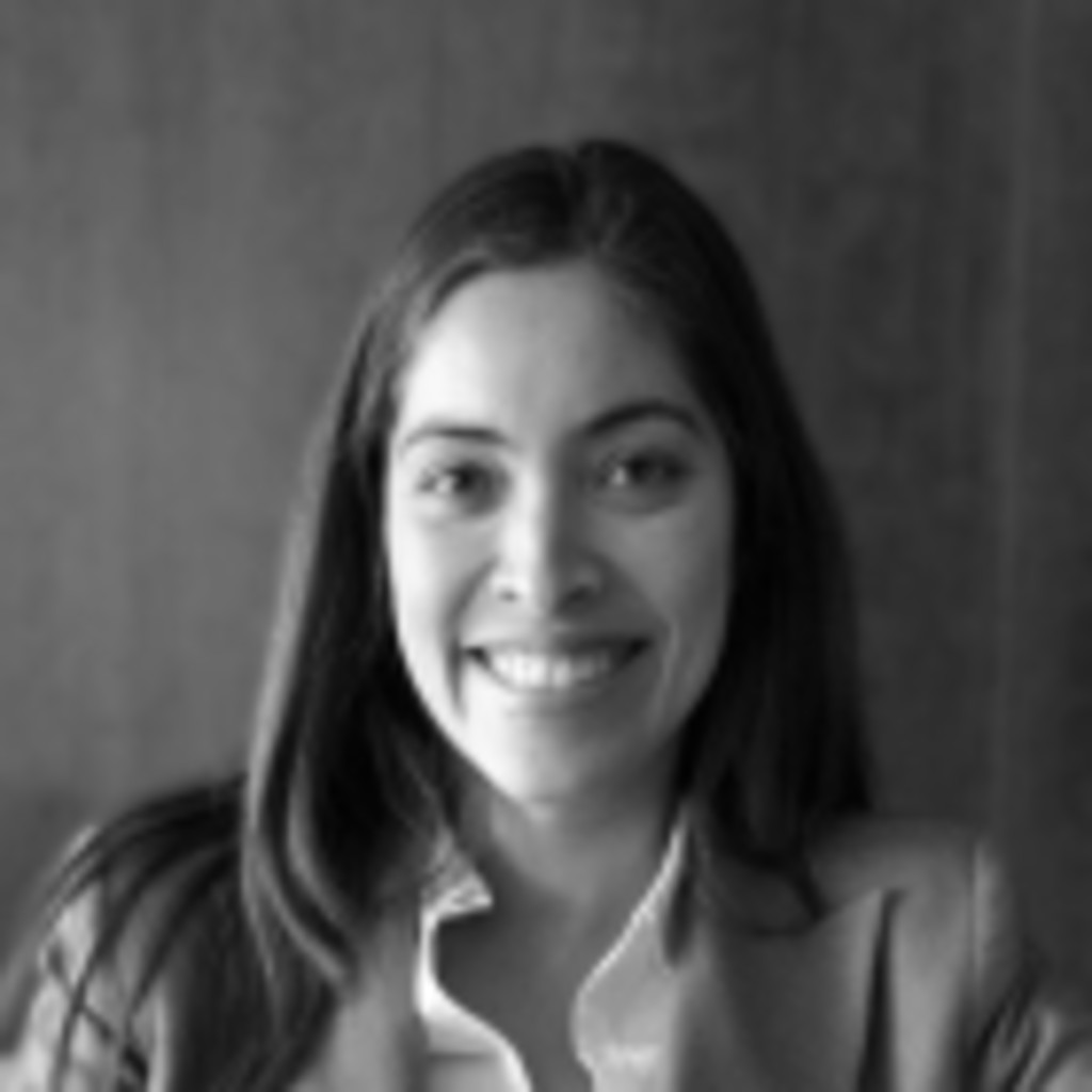 Ximena Fernandez Solis - Manager - ONEtoONE Capital Partners | XING