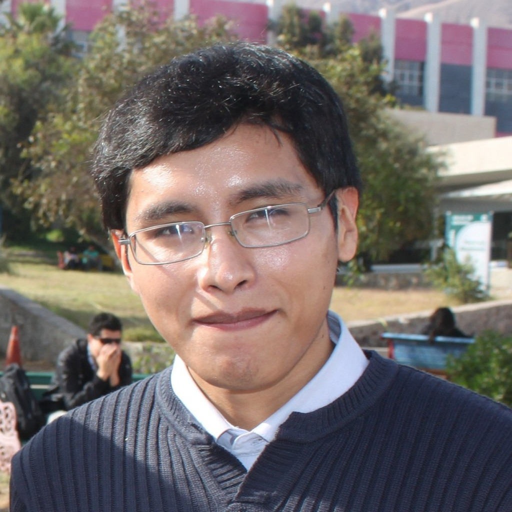 Dr. Wilson Alavia - Consultant in mining (lithium and critical minerals ...