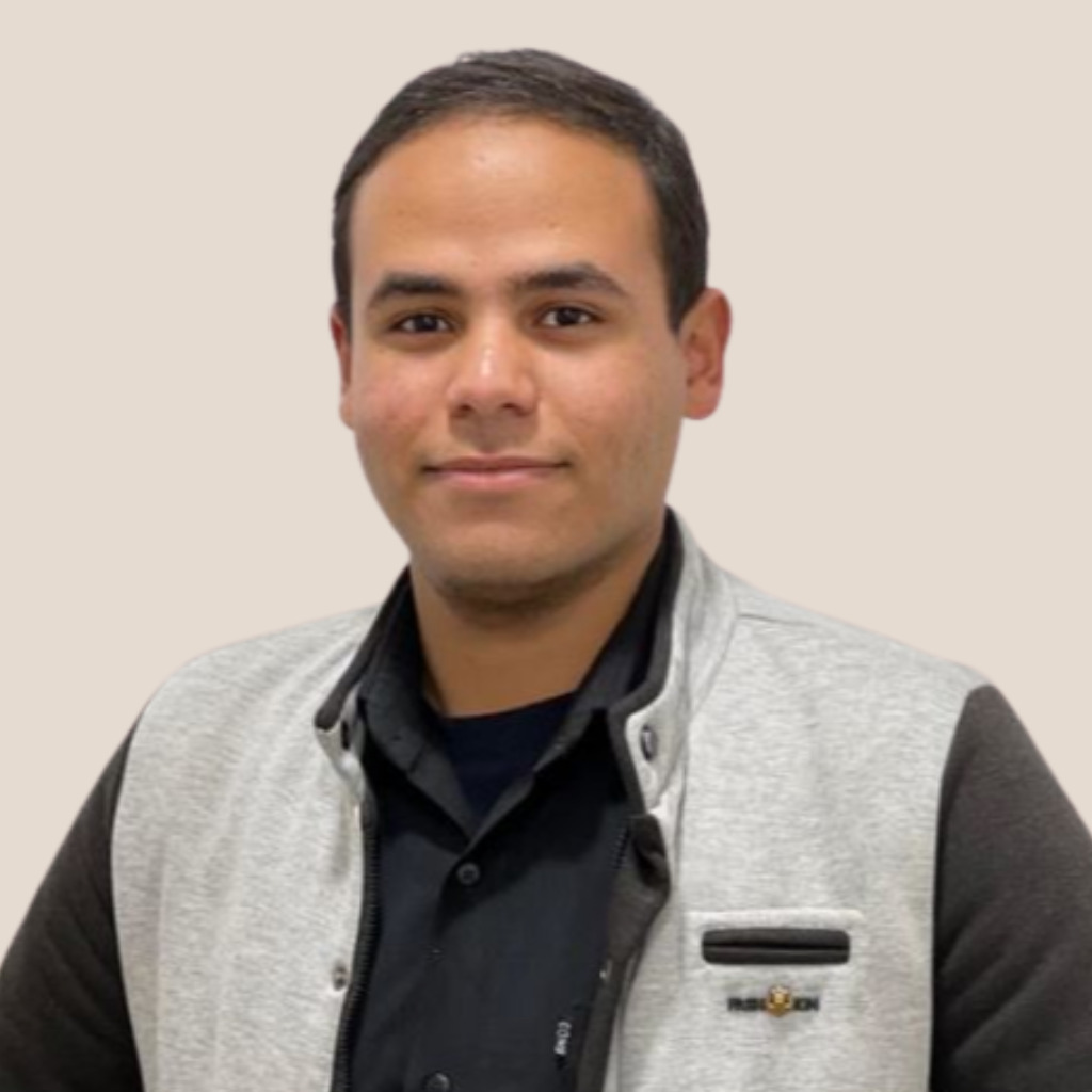 Mohammed Ashraf - SAP Successfactors Consultant - Information ...