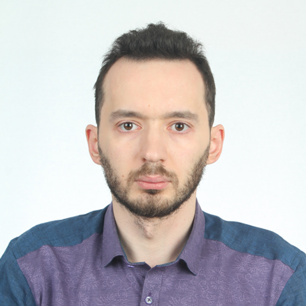 Roman Sayapin - Lead IT Project Manager - PJSC "NIPS" | XING