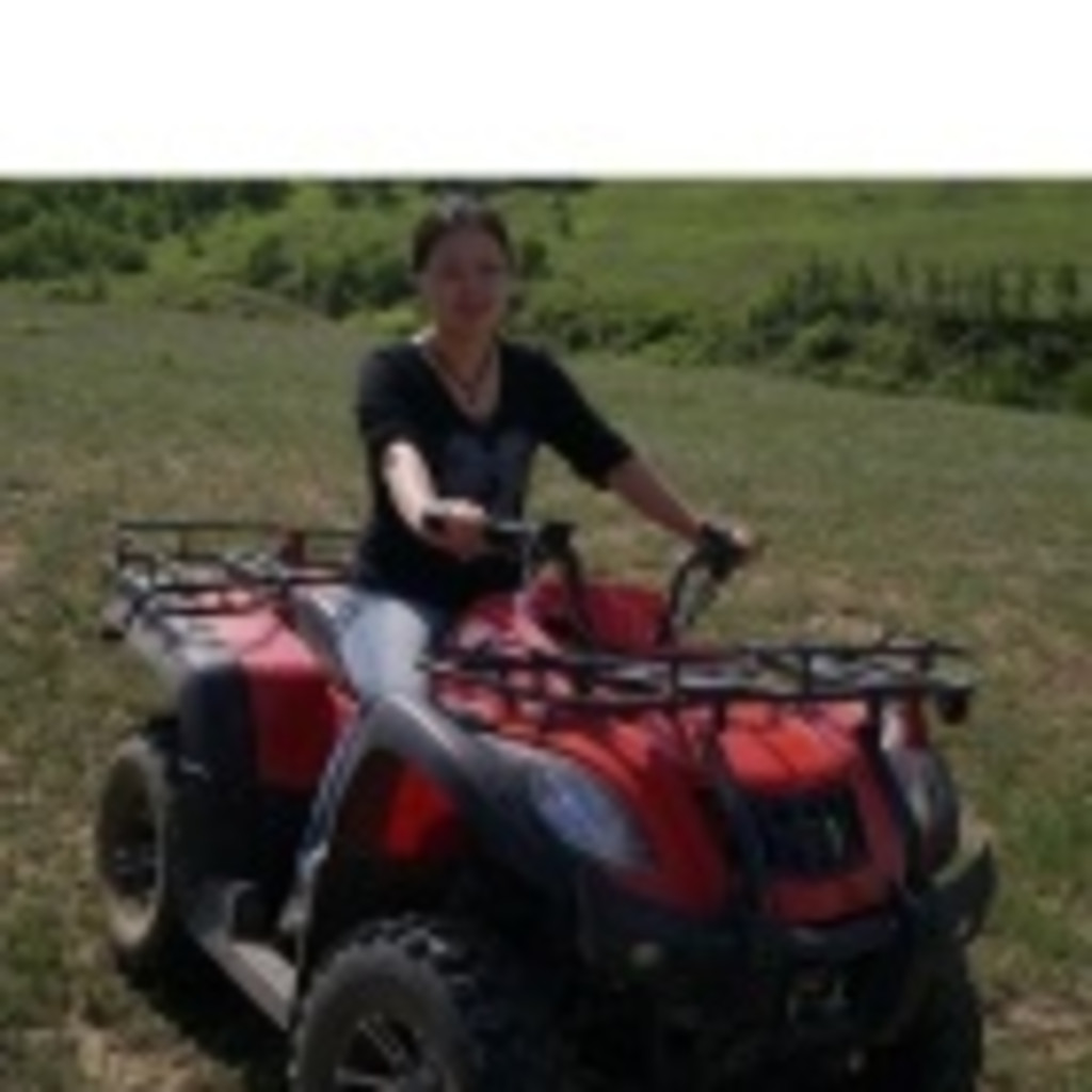 Lili Meng - IT Officer - Sedgman | XING