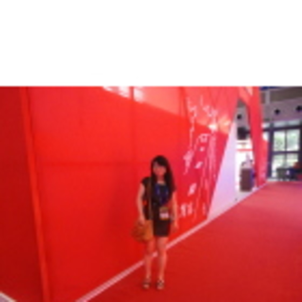 Sarah Chou - Foreign Affairs Dep. - Dutch Chinese Chamber of Commerce ...