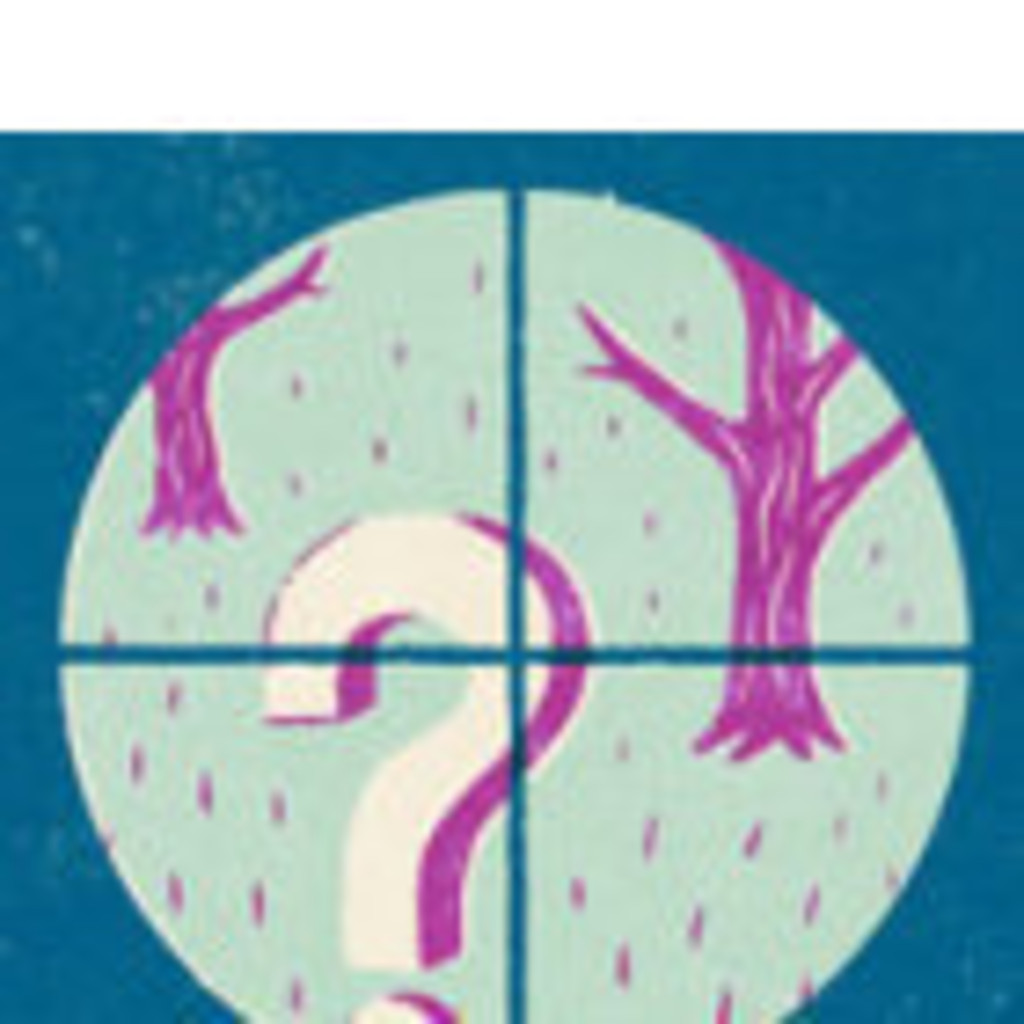 Paul Cockerton - Marketing Director - IssueBits Ltd | XING