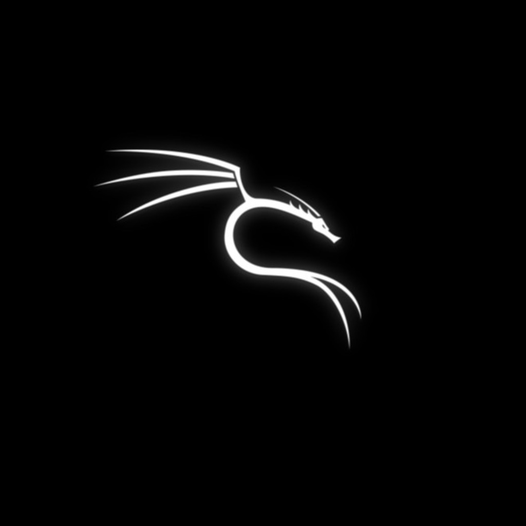 Aron elliot - Penetration Tester - Abcd Abcd | XING