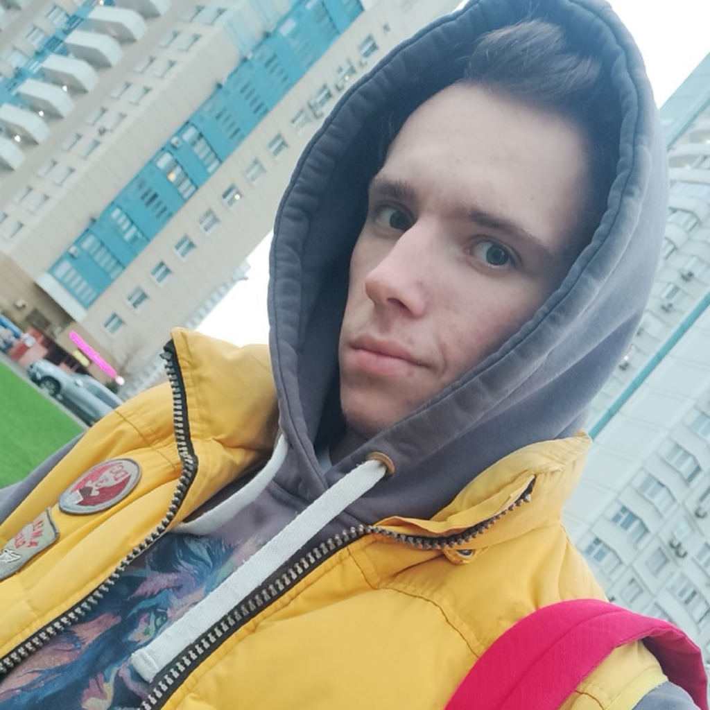 sergey nazarkin - Web Developer fullstack bitrix - renisance art group | XING