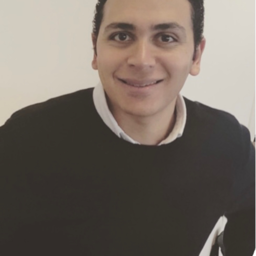 Ing. Mahmoud Hanafi Mahmoud - Consultant Expert Network Operations ...