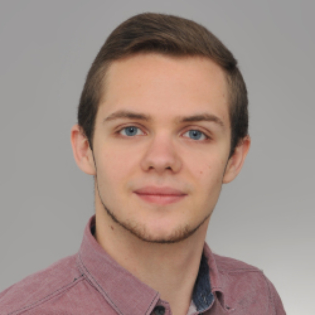 Niklas Vischer - PHP Web Developer - pfeifer marketing | XING