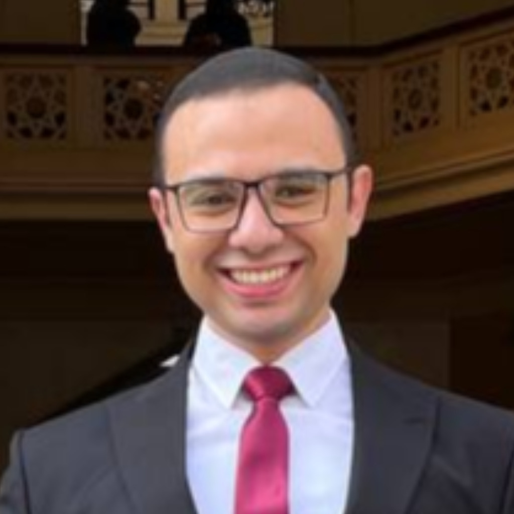 Ing. Ahmed Ebrahim - Wissenschaftliche Hilfskraft in FPGA - TU Chemnitz ...