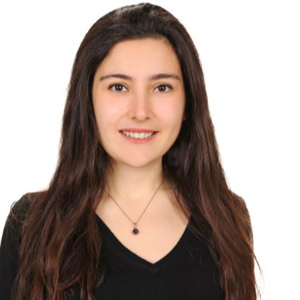 ezgi hazal ubic - european and international energy law - master ...