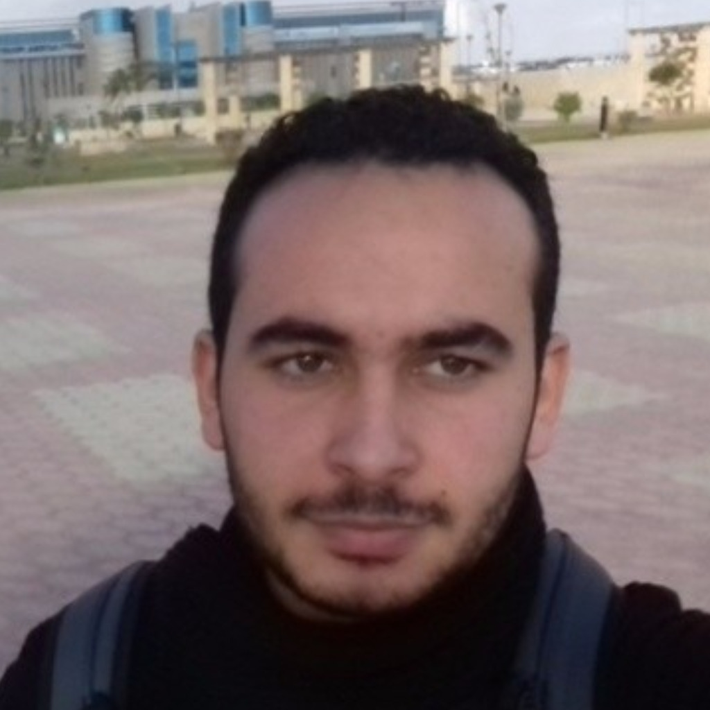 Mohamed Elsayed - Data Analyst - neuefische GmbH - School and Pool for ...